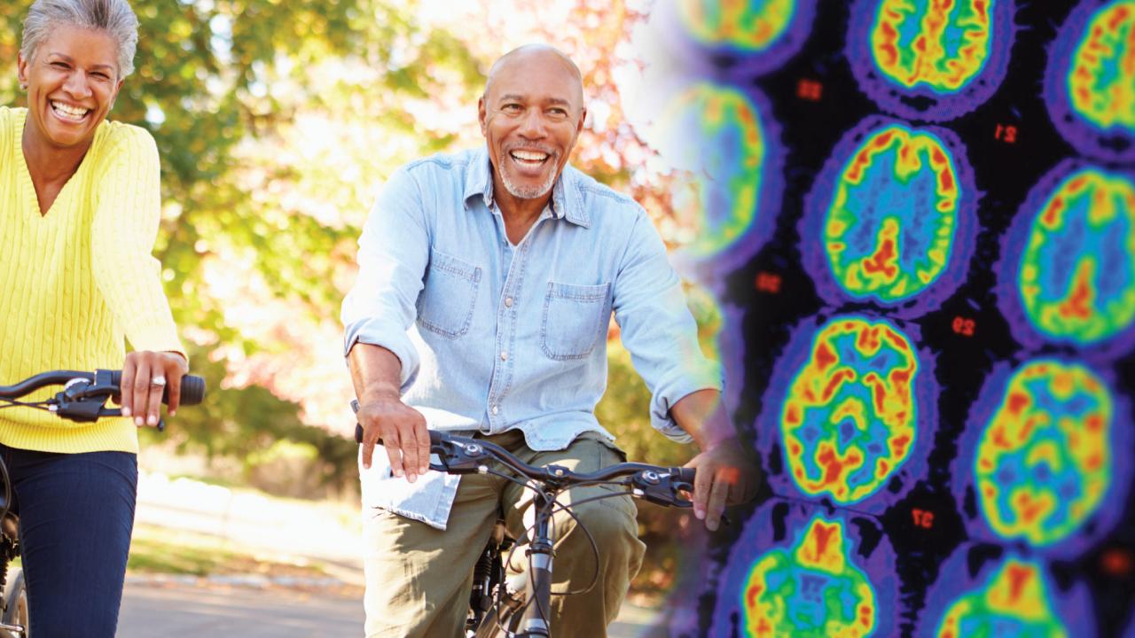 Healthy Brain Aging Research Fund | UC Davis Center for Neuroscience