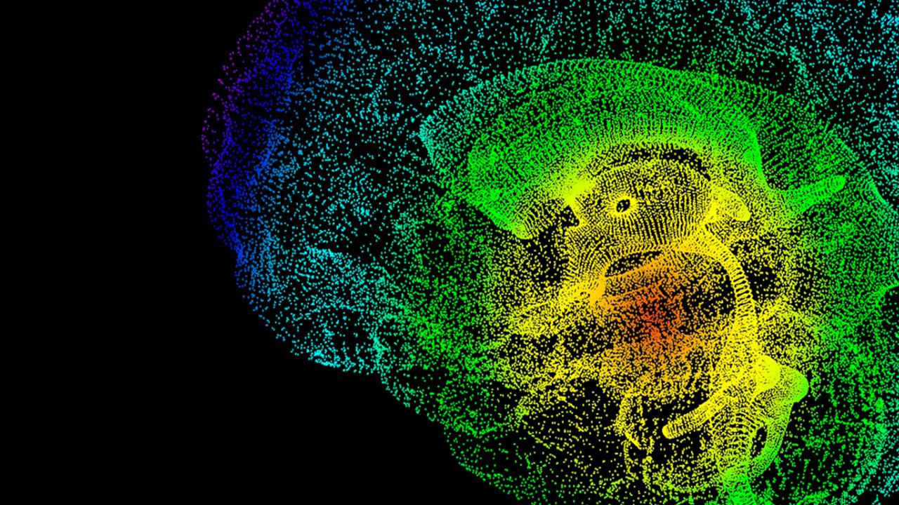 NeuroFest | UC Davis Center for Neuroscience